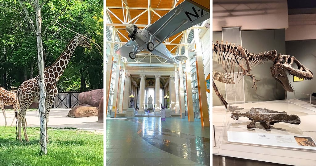 10 Best Reasons To Visit St. Louis, Missouri - The Everyday Explorist
